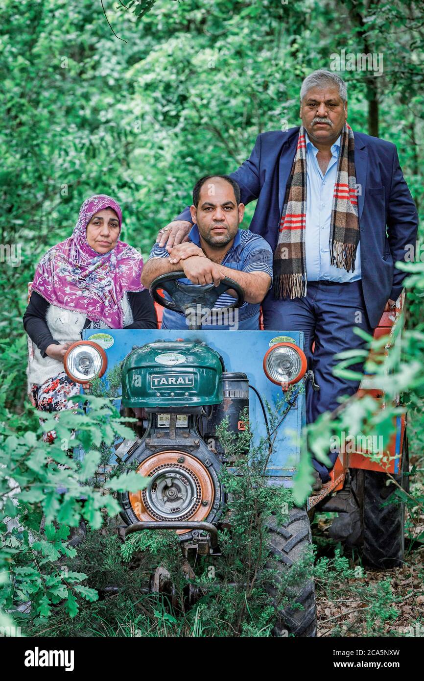 Turkey, Sakarya, Hendek, gypsy family on a small tractor in the forest ...