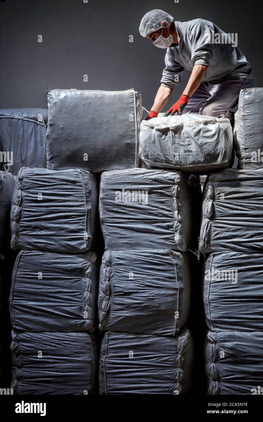 Turkey, Sakarya, Hendek, preparation of storage bags and storage in a ...