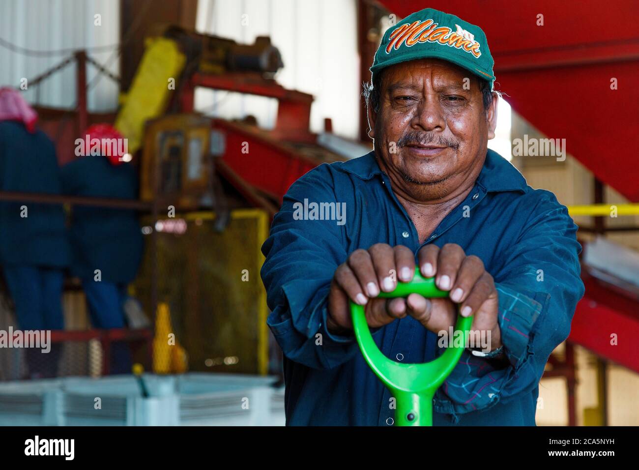 Palm farm hi-res stock photography and images - Alamy