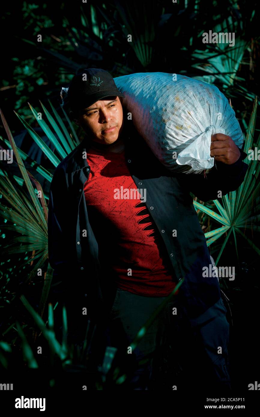 United States, Florida, Lee, Fort Myers, Felda, agricultural pickers on ...