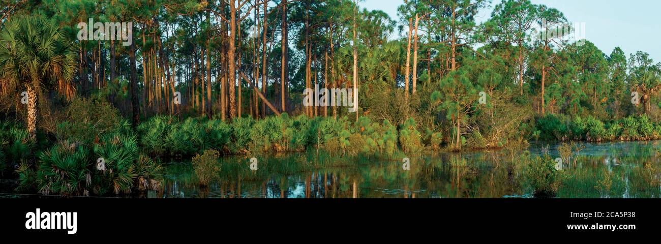 Felda hi-res stock photography and images - Alamy