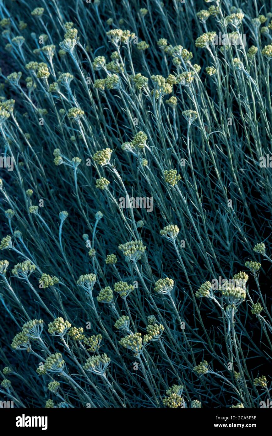 Lavaur tarn hi-res stock photography and images - Alamy