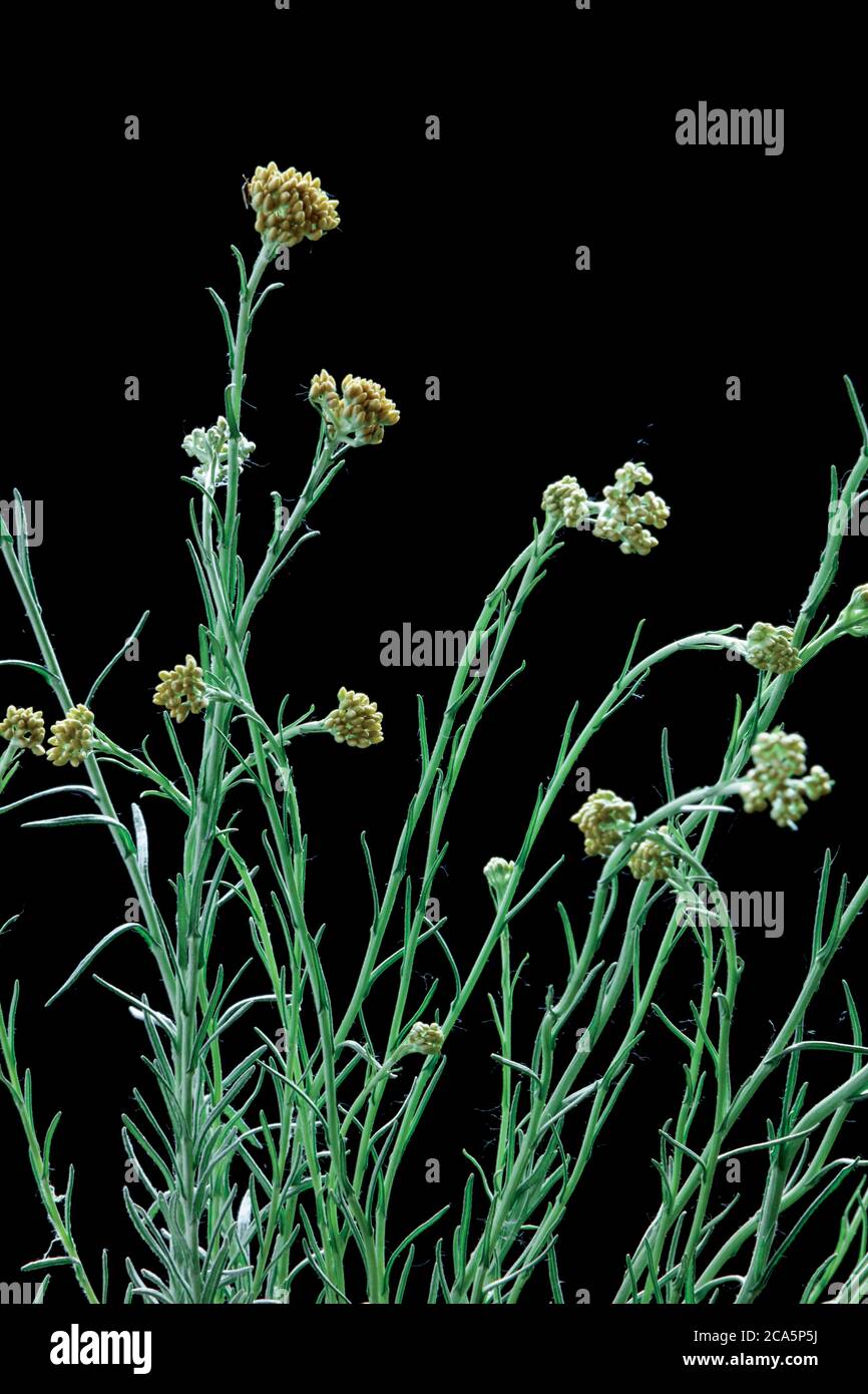 Lavaur tarn High Resolution Stock Photography and Images - Alamy