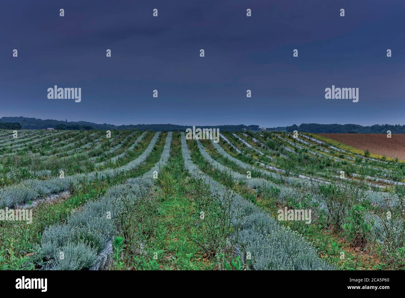 Lavaur tarn hi-res stock photography and images - Alamy