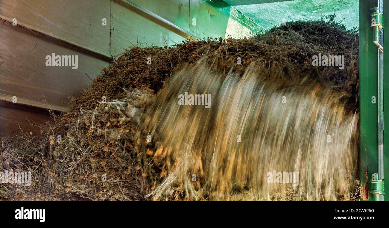 Lavaur france hi-res stock photography and images - Alamy