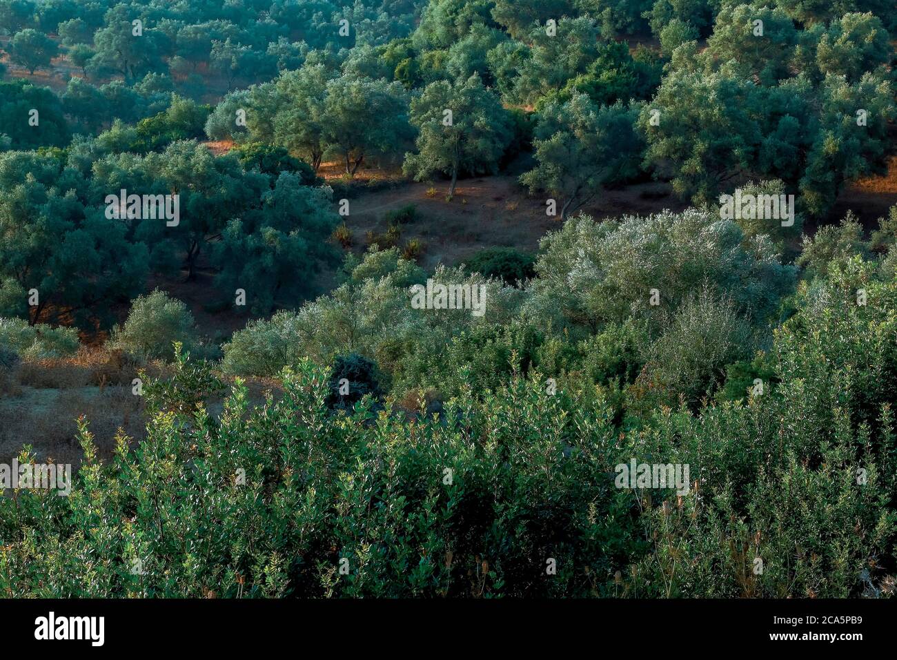 Morocco, Meknes, mountainous landscape typical of Morocco Stock Photo ...