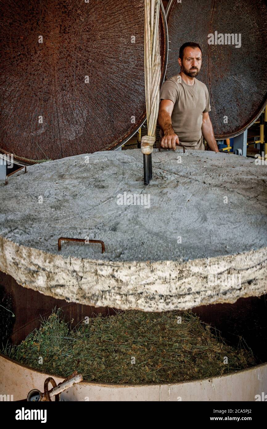 France, Tarn, Lavaur, plant distillation process Stock Photo - Alamy