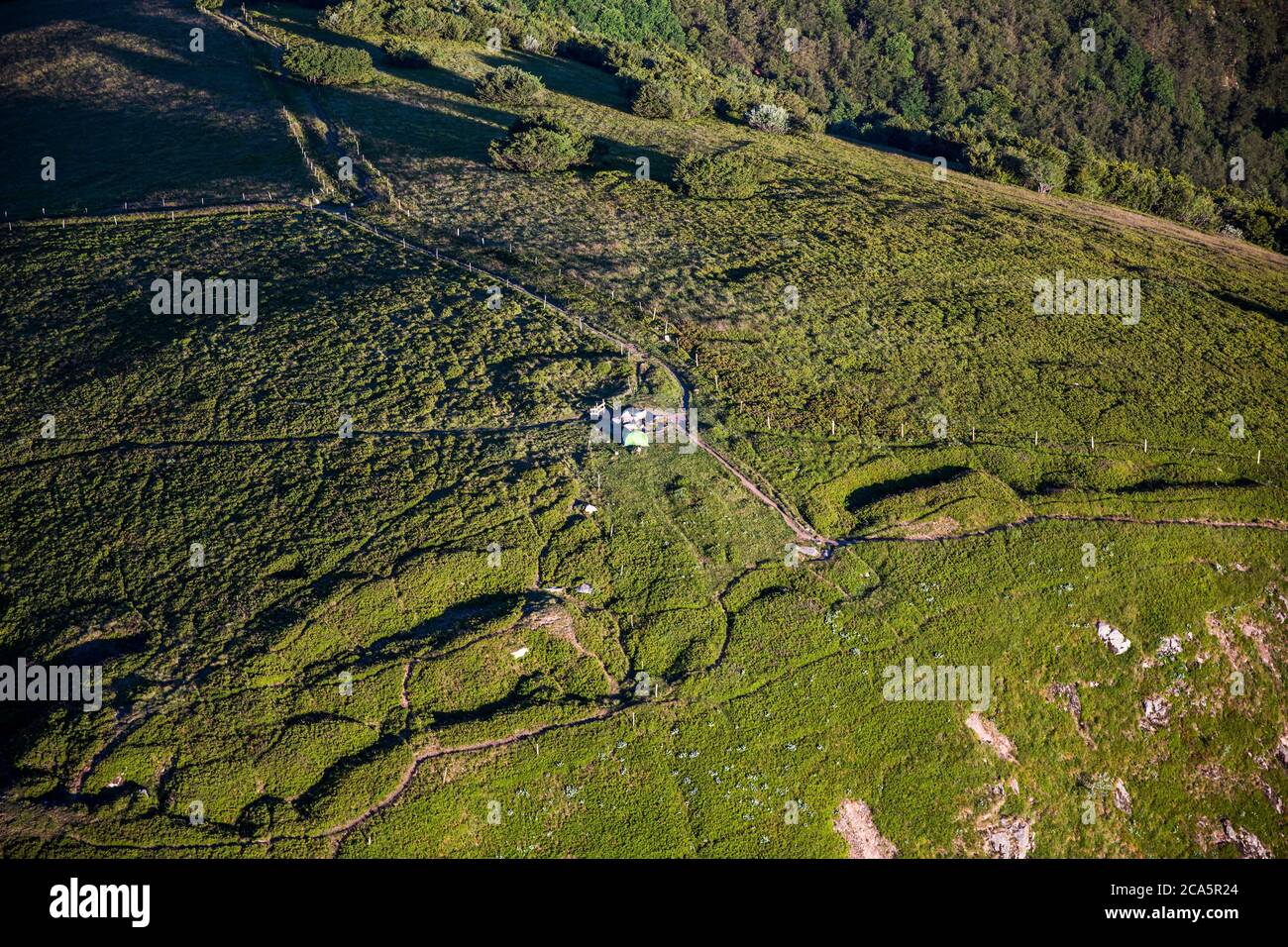France, Haut Rhin, Hautes Vosges, Hohneck massif, on the GR5 trail ...