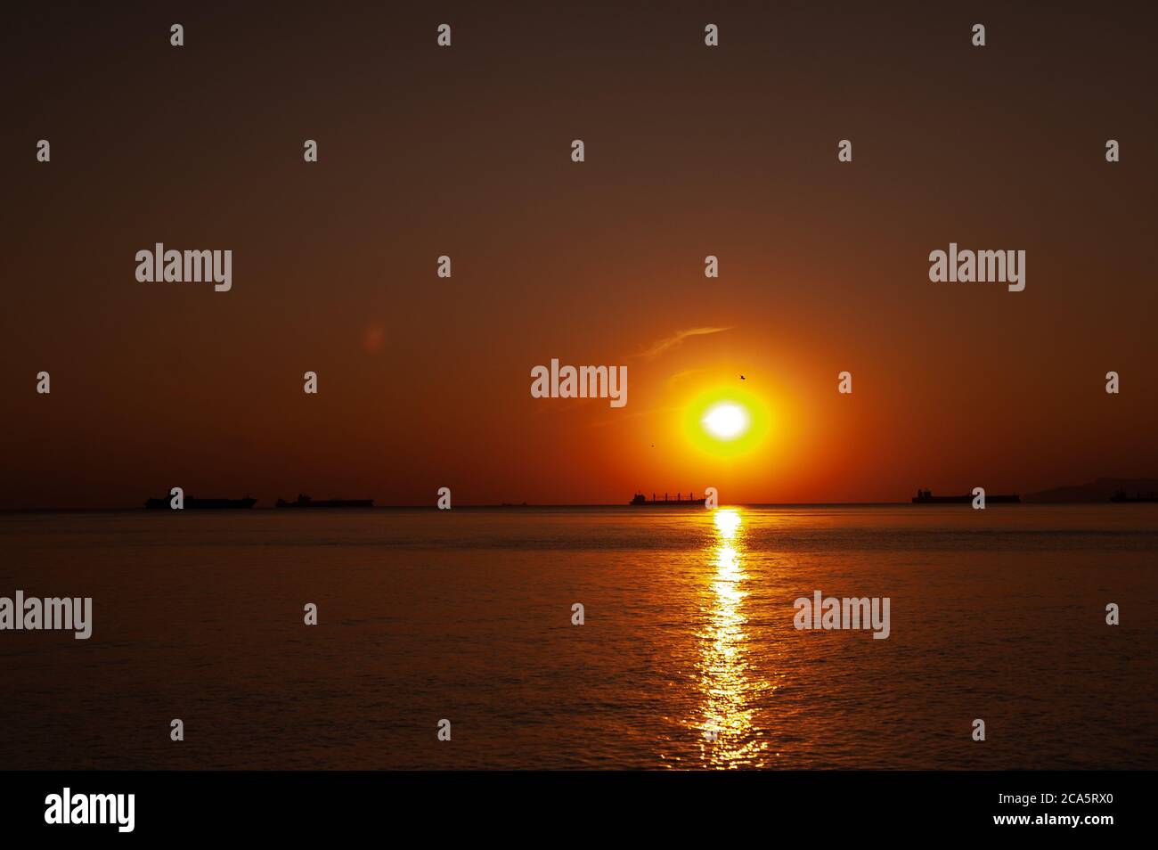 Train ocean dock night hi-res stock photography and images - Alamy