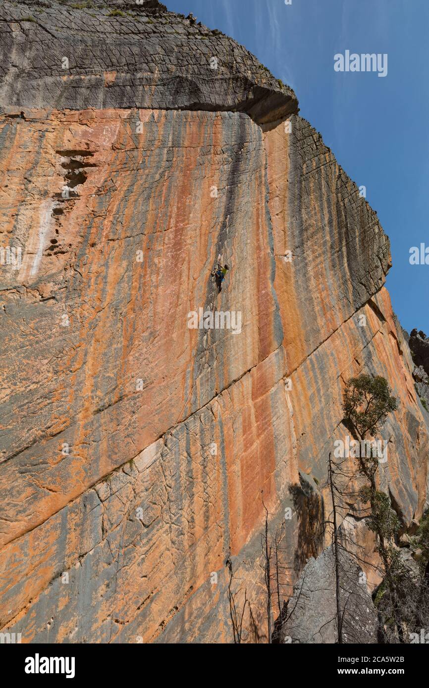 Australia, Victoria, Monts Grampiants, climbing in Eureka Wall, the ...