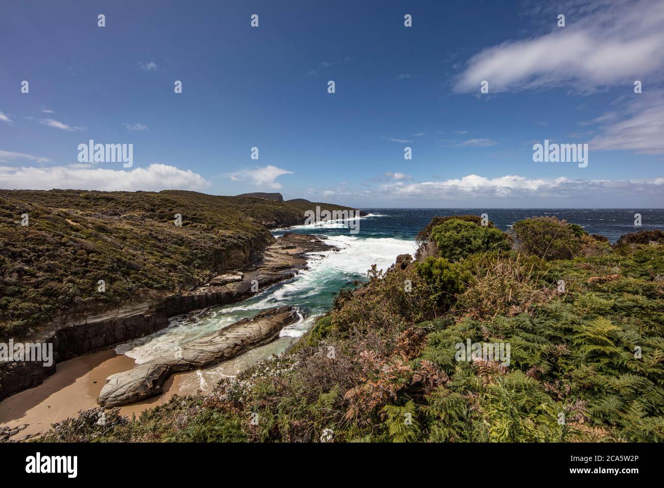 Australia, Tasmania, Cape raoul Stock Photo - Alamy