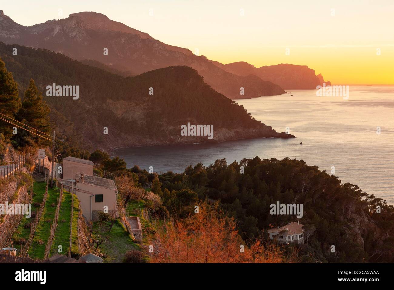 Culture de verger hi-res stock photography and images - Alamy