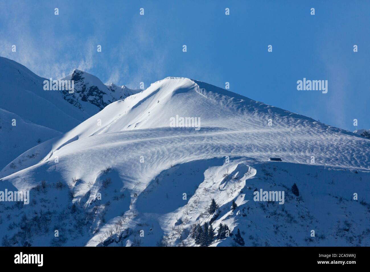 France, Isere, the Belledonne massif, the Orionde mountain pasture ...