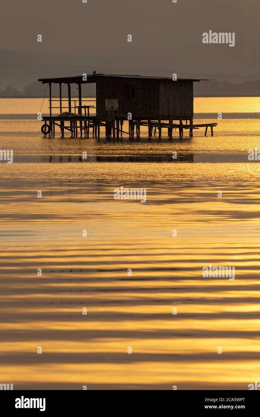 Greece, Macedonia, Thessaloniki, Axios Delta National Park, National ...