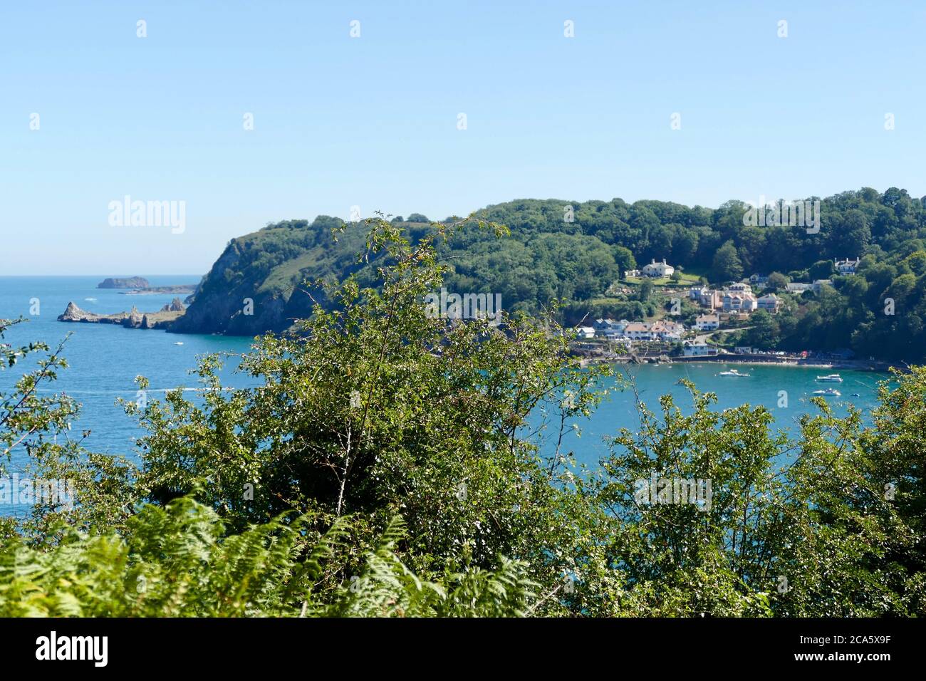 Babbacombe viewed from Petitor, Torquay, Devon, U.K Stock Photo - Alamy
