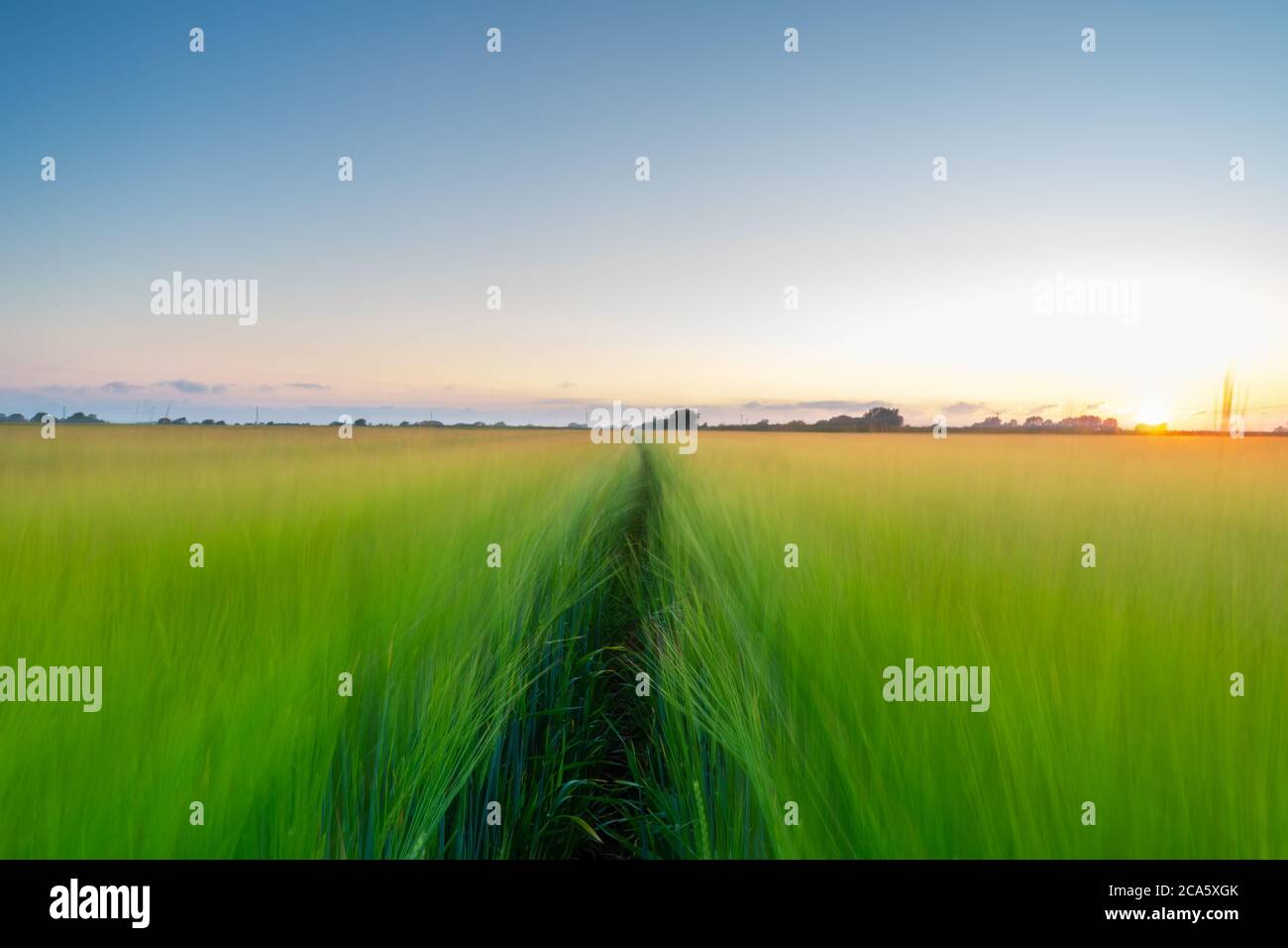 Softened hi-res stock photography and images - Alamy