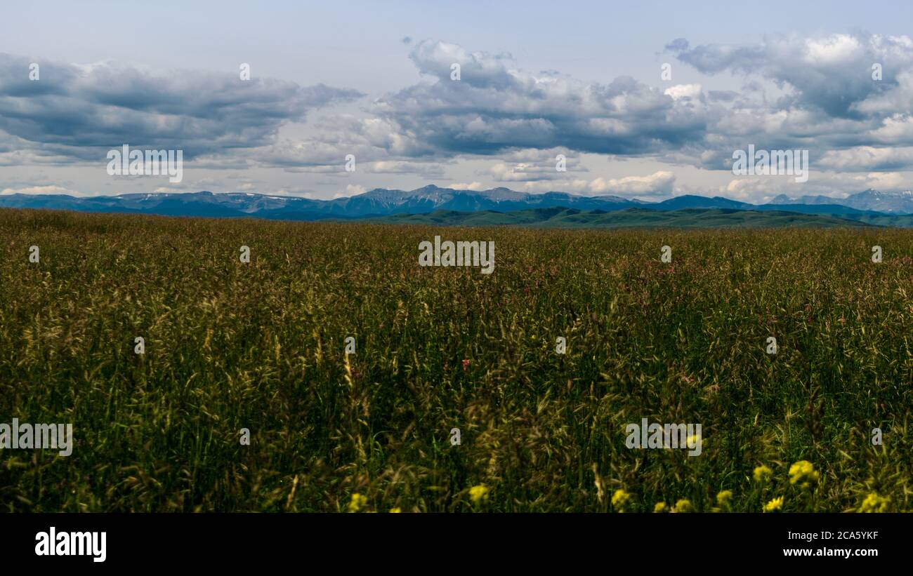 Rural alberta hi-res stock photography and images - Alamy