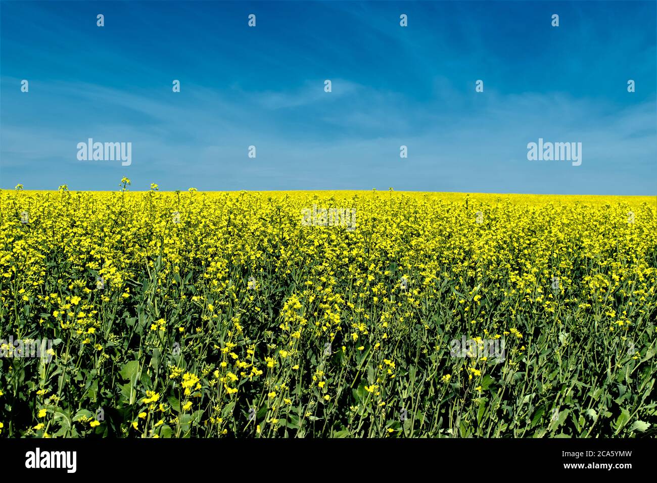 Rural alberta hi-res stock photography and images - Alamy