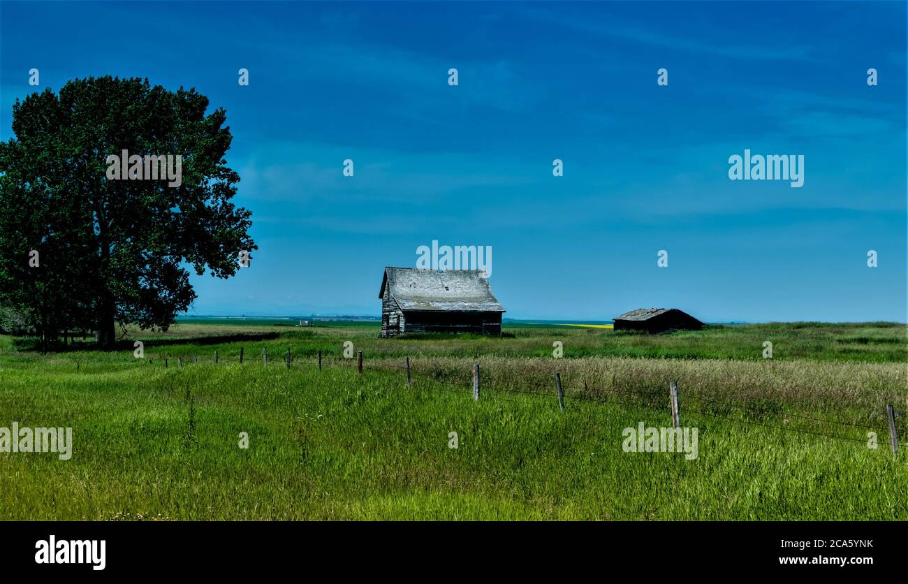 Rural alberta hi-res stock photography and images - Alamy