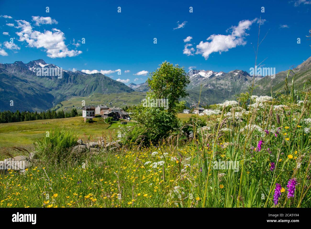 Panorama - Alpe Motta - Valle Spluga Stock Photo - Alamy