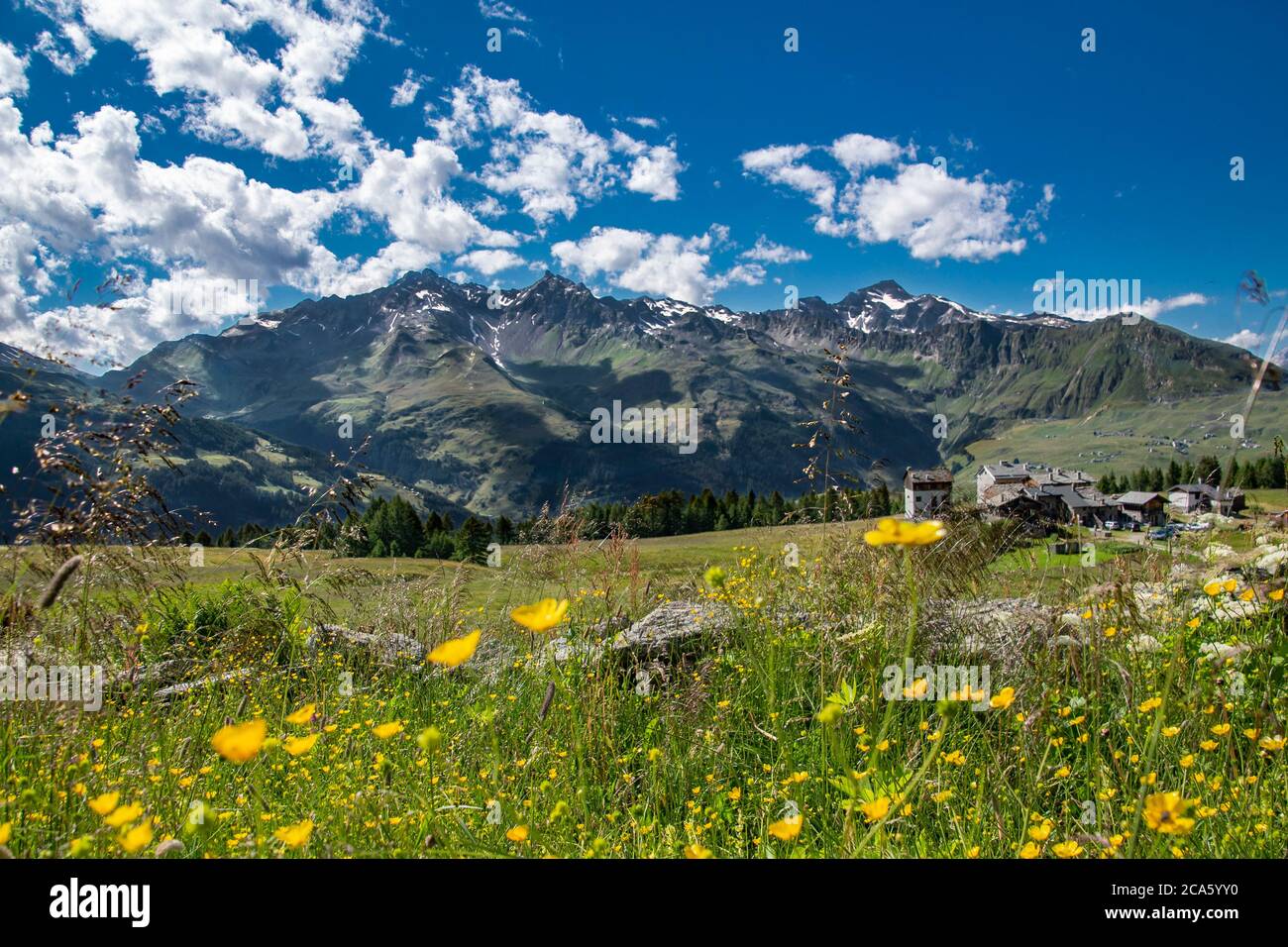 Panorama - Alpe Motta - Valle Spluga Stock Photo - Alamy