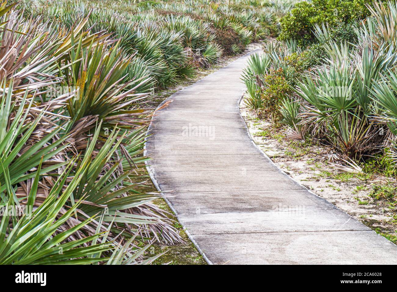 Coastal hiking hi-res stock photography and images - Alamy