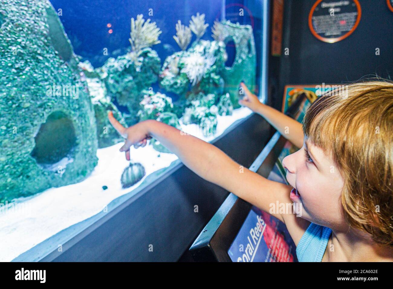 Juno Beach Florida,Highway A1A,Loggerhead Park,Loggerhead Marinelife ...