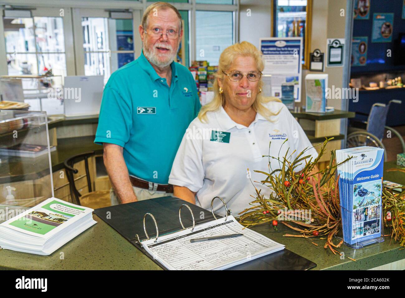 Adult female loggerhead sea hi-res stock photography and images - Alamy