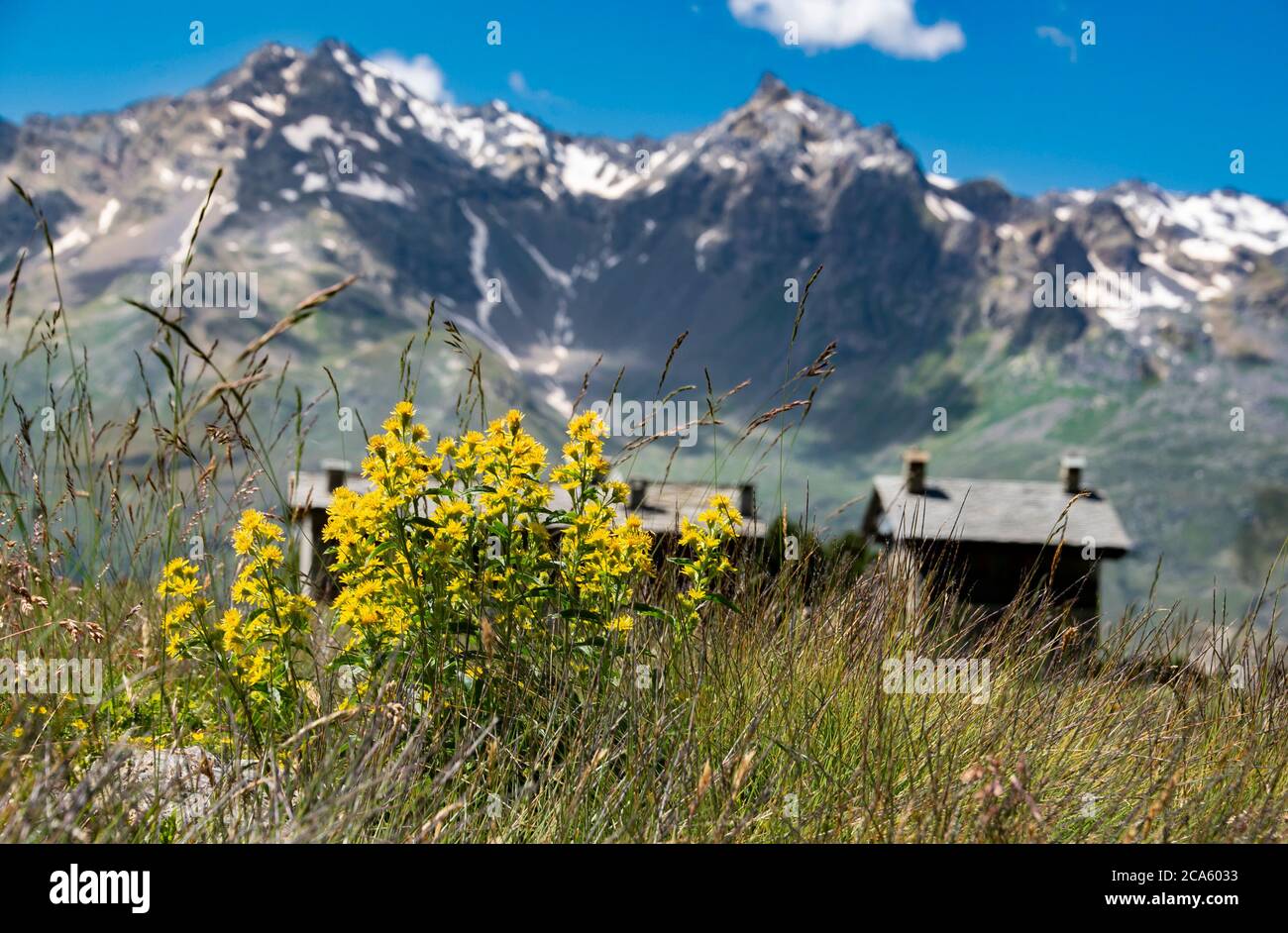 Panorama - Alpe Motta - Valle Spluga Stock Photo - Alamy