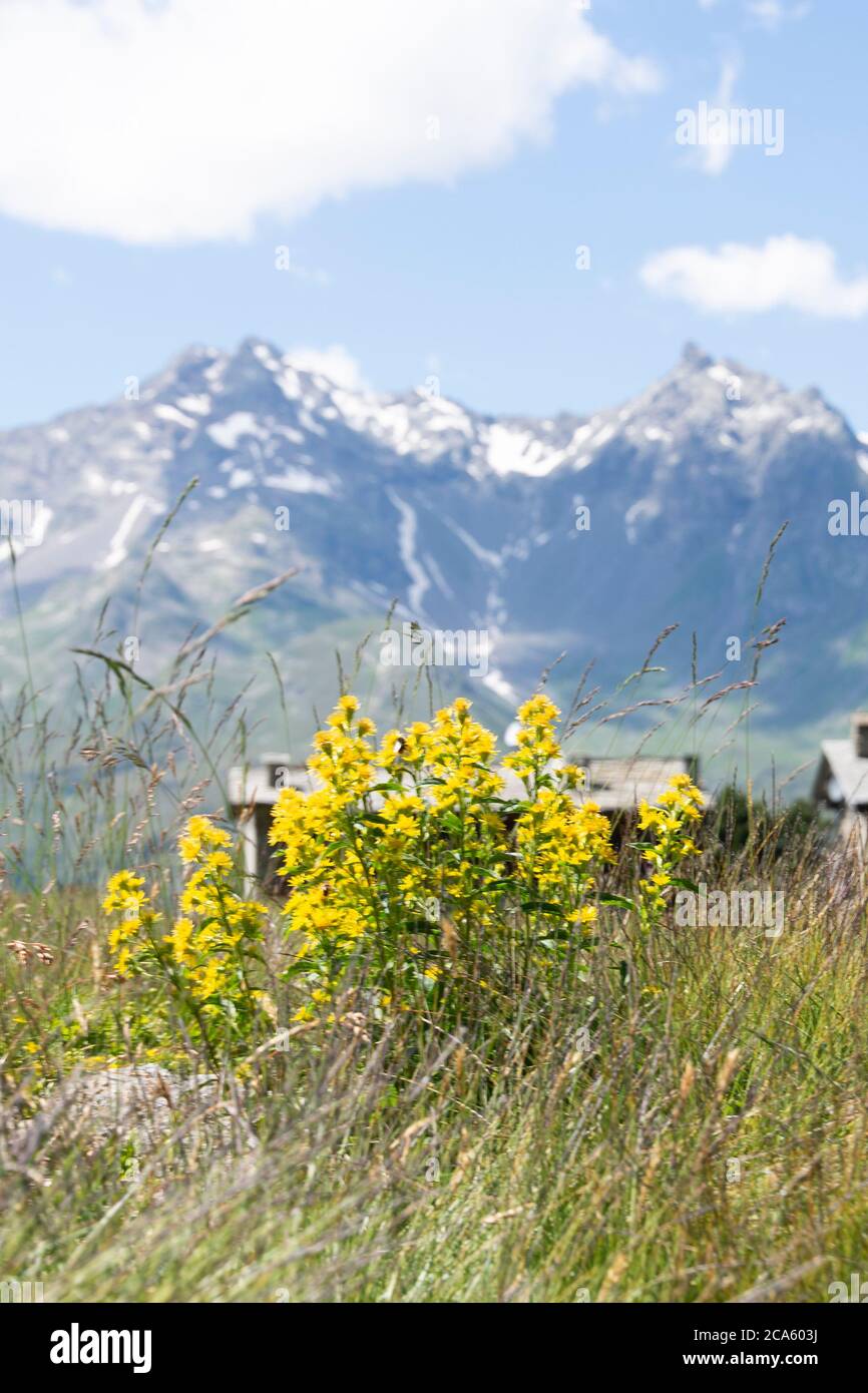 Panorama - Valle Spluga Stock Photo - Alamy