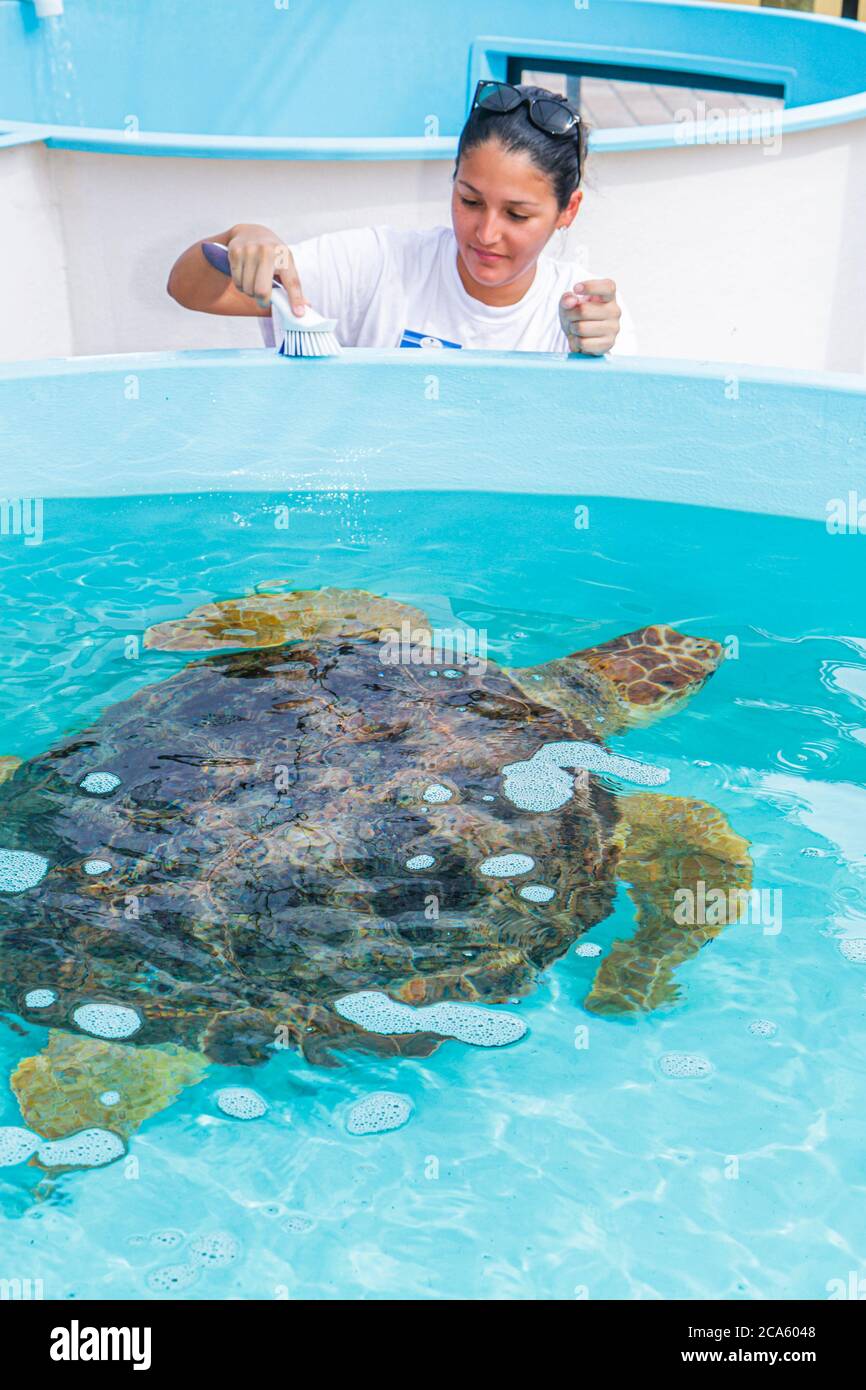 Juno Beach Florida,Highway A1A,Loggerhead Park,Loggerhead Marinelife ...