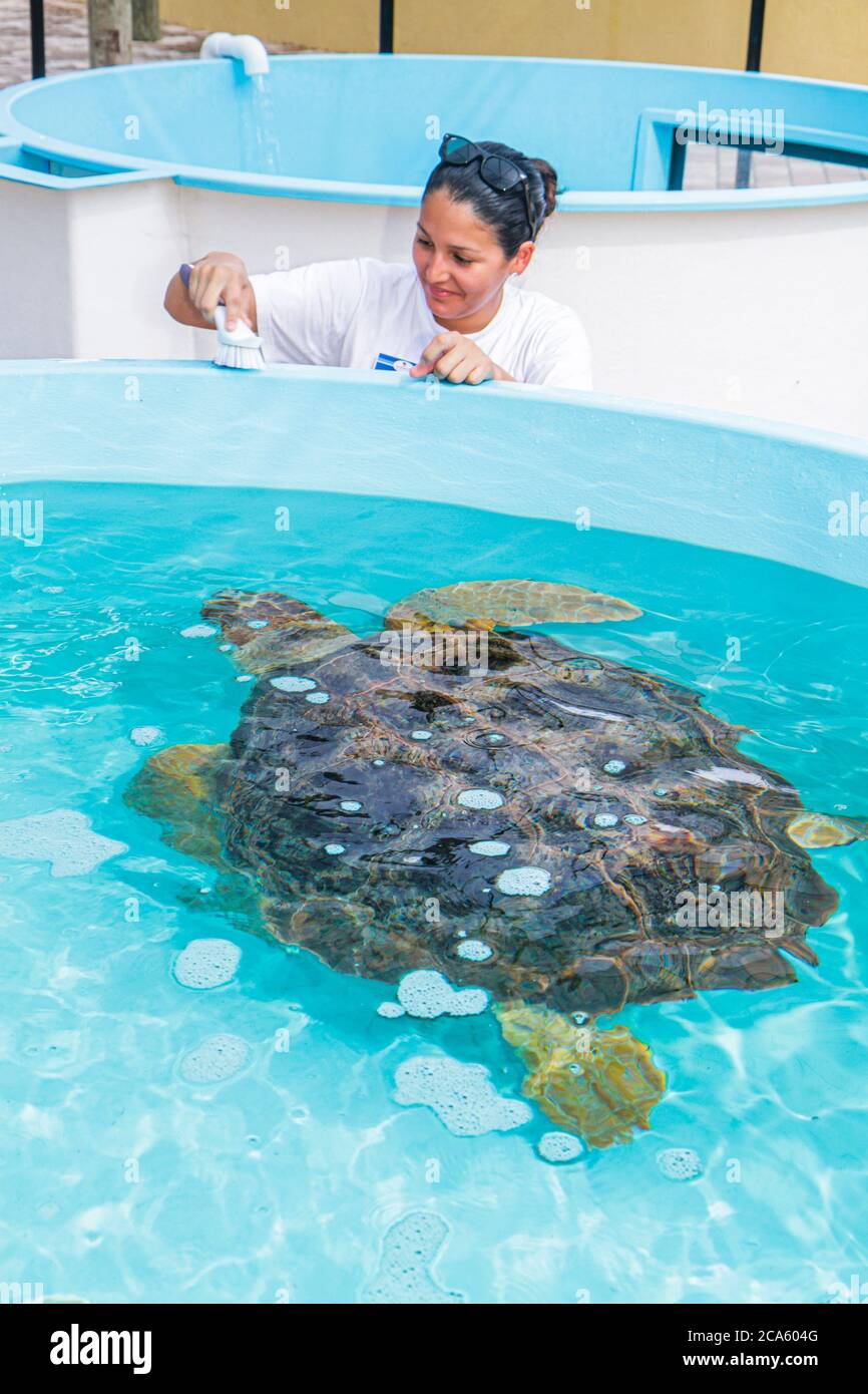 Juno Beach Florida,Highway A1A,Loggerhead Park,Loggerhead Marinelife ...