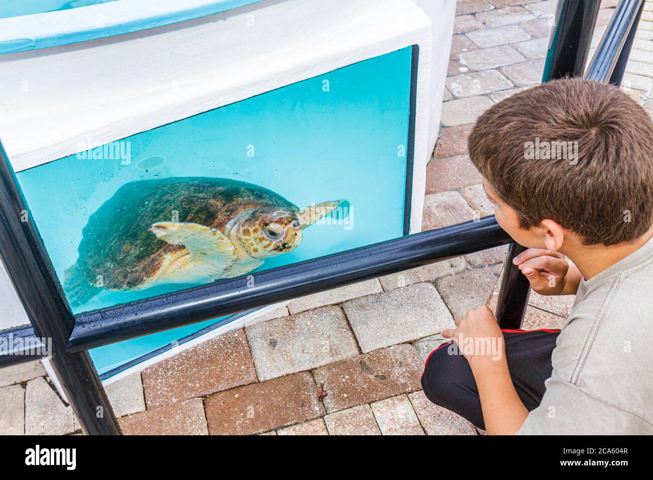 Juno Beach Florida,Highway A1A,Loggerhead Park,Loggerhead Marinelife ...