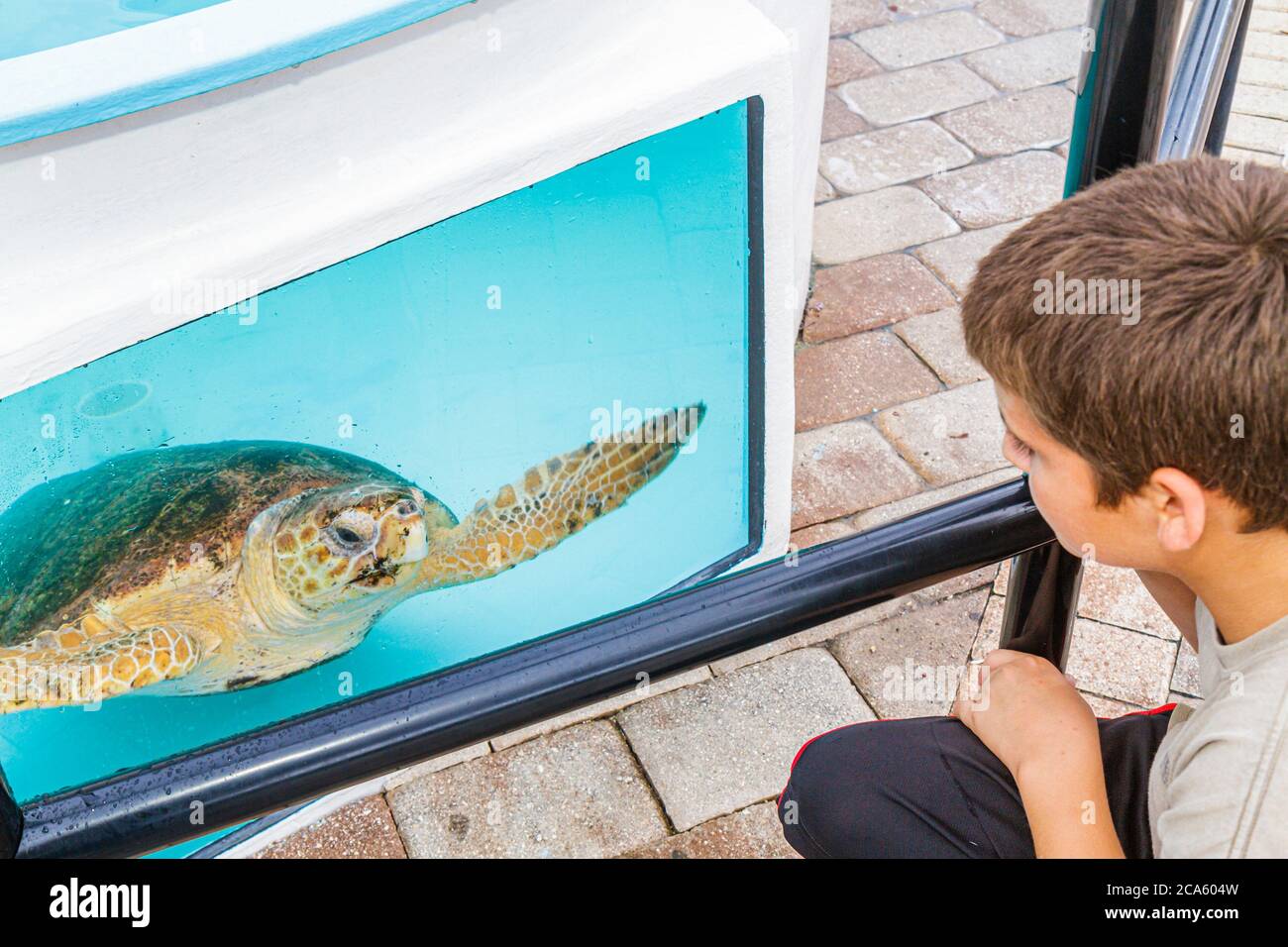 Juno Beach Florida,Highway A1A,Loggerhead Park,Loggerhead Marinelife ...