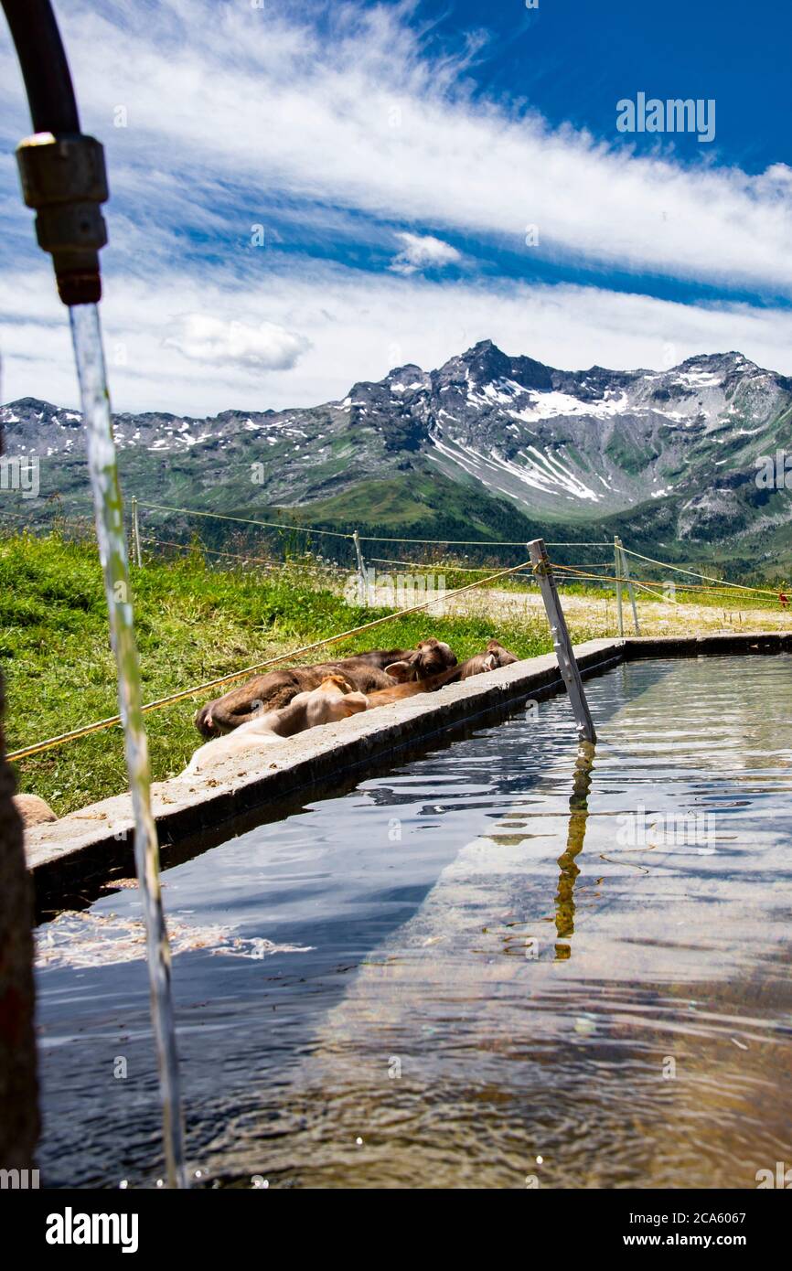 Panorama - Alpe Motta - Valle Spluga Stock Photo - Alamy