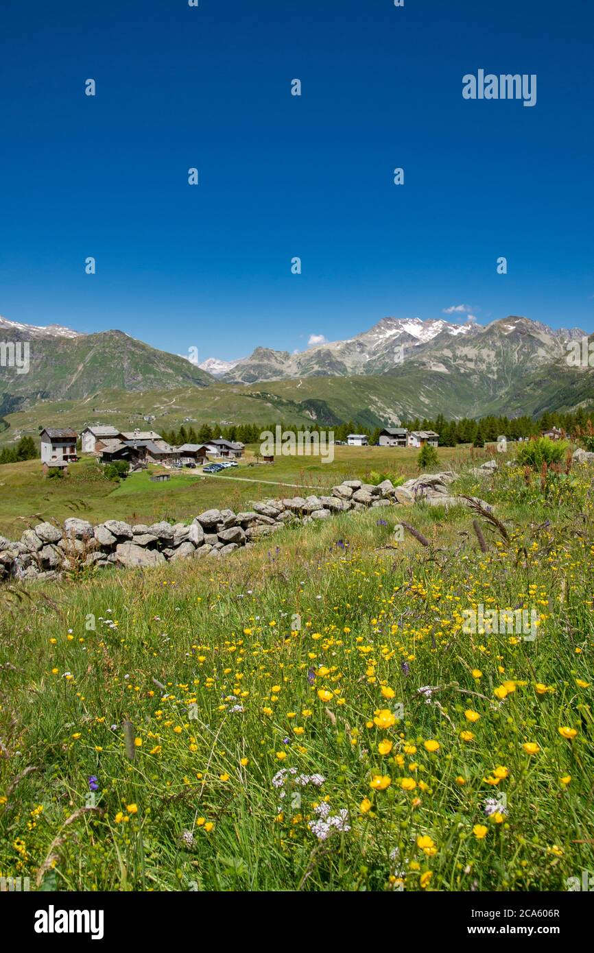 Panorama - Alpe Motta - Valle Spluga Stock Photo - Alamy