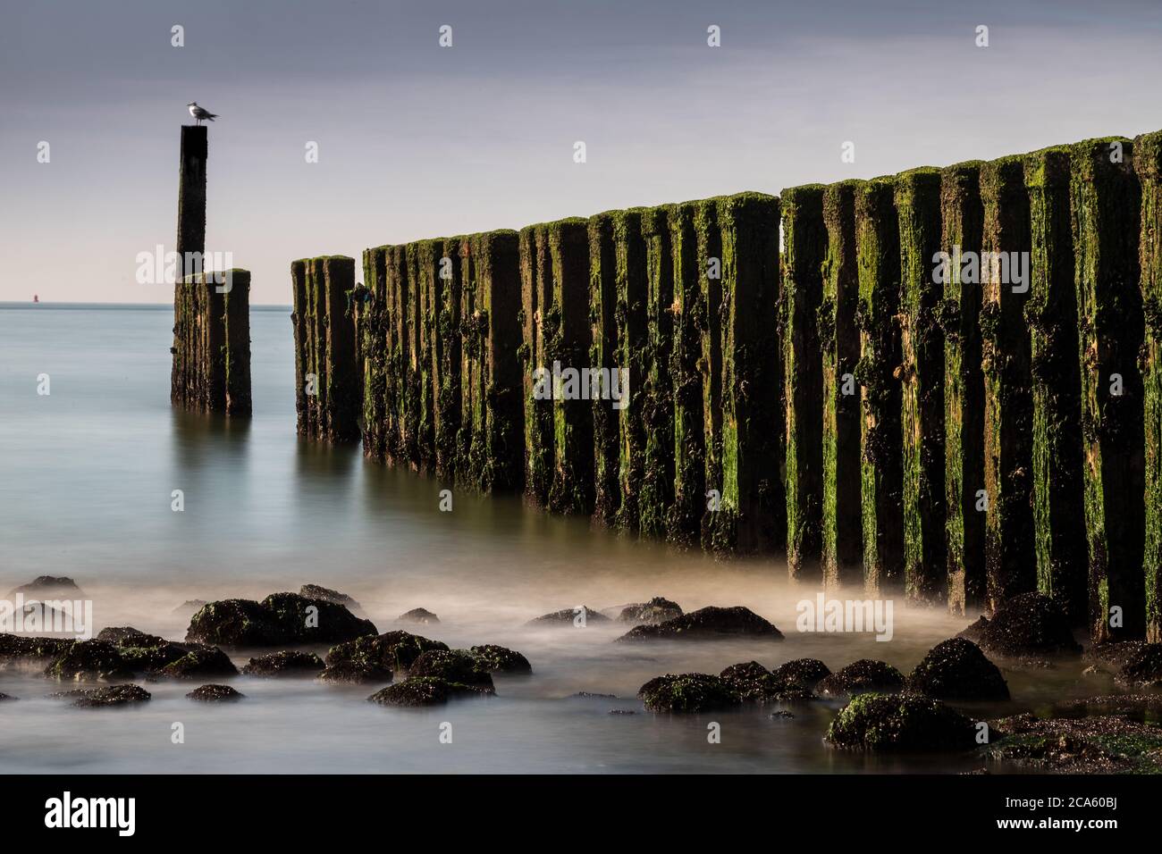 Protection exploration hi-res stock photography and images - Alamy