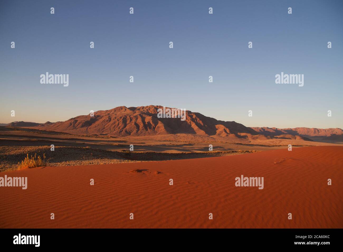 Kalahari Desert, Namibia Stock Photo - Alamy