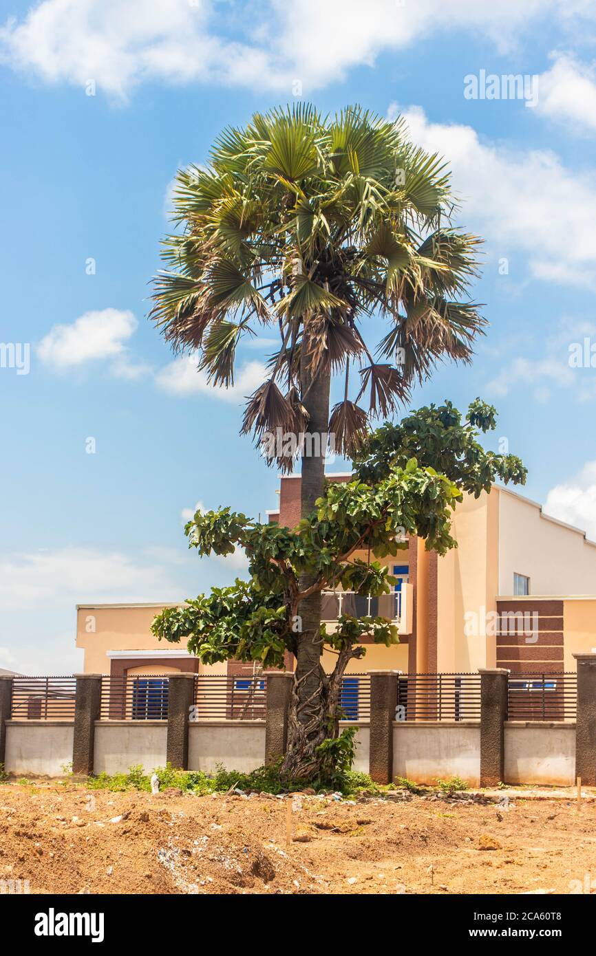 Nigeria landscape hi-res stock photography and images - Alamy