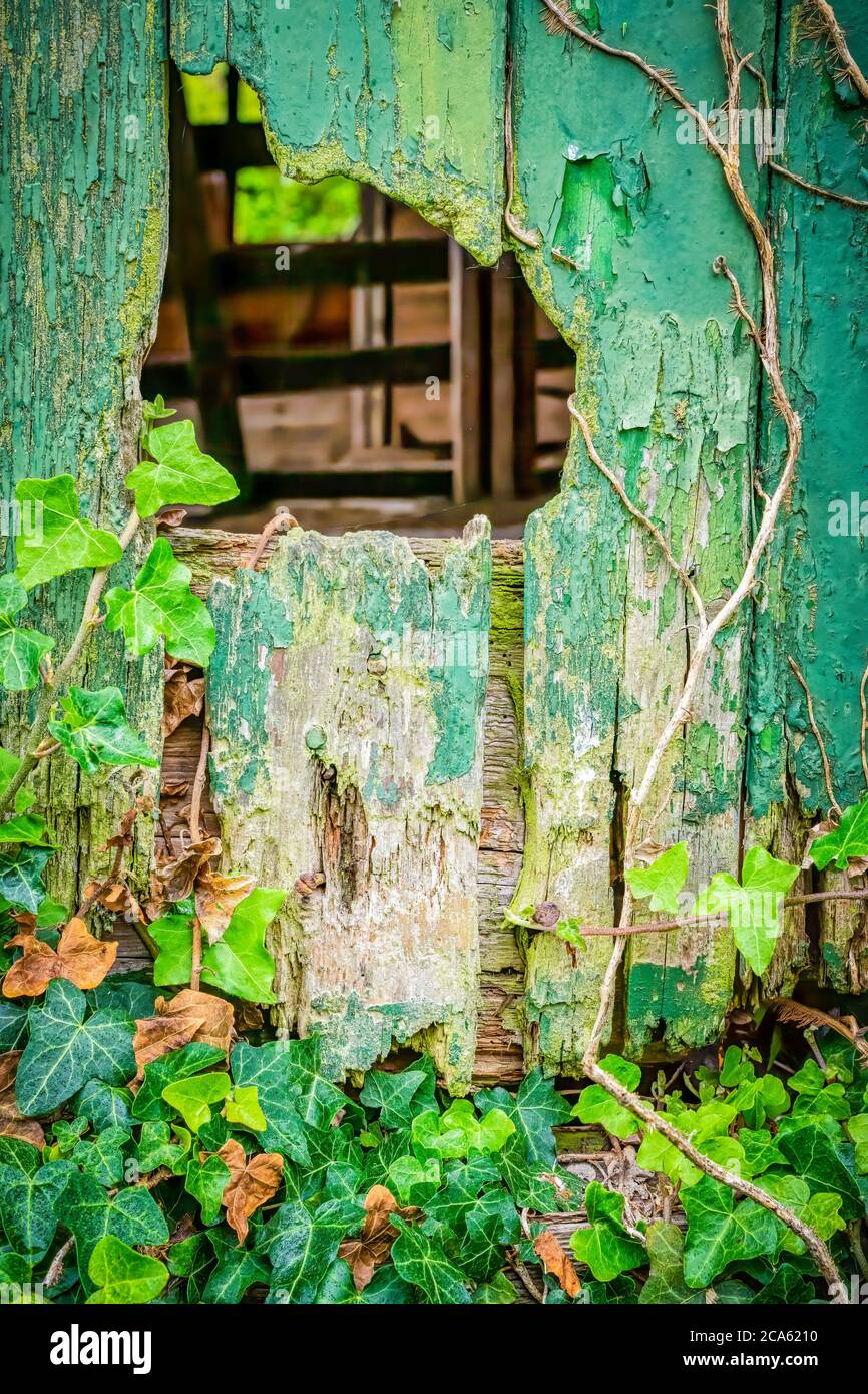 Boor hi-res stock photography and images - Alamy