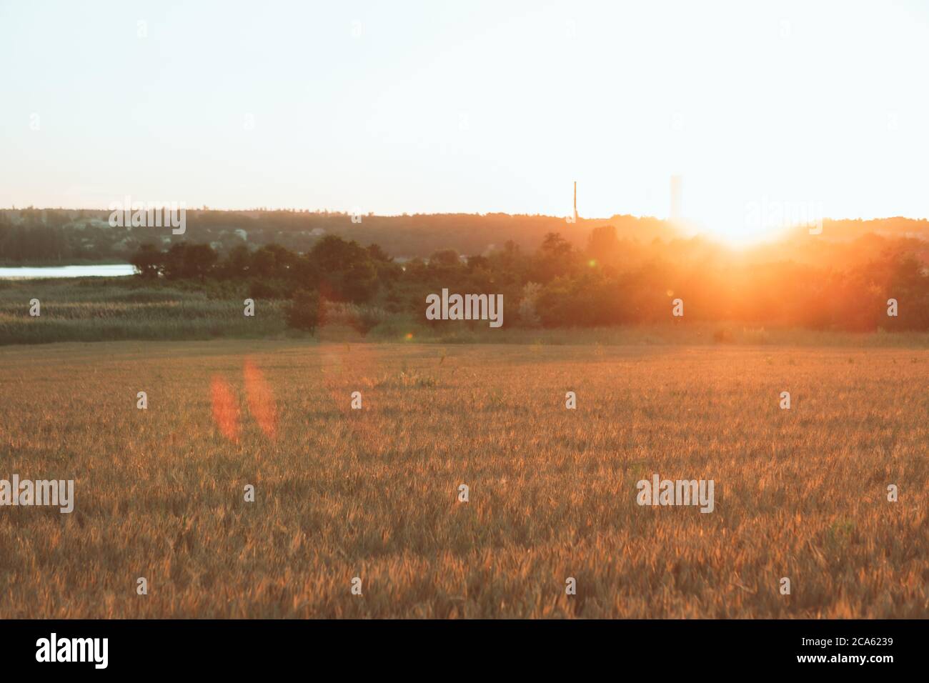 Flight over wheat field sunset hi-res stock photography and images - Alamy