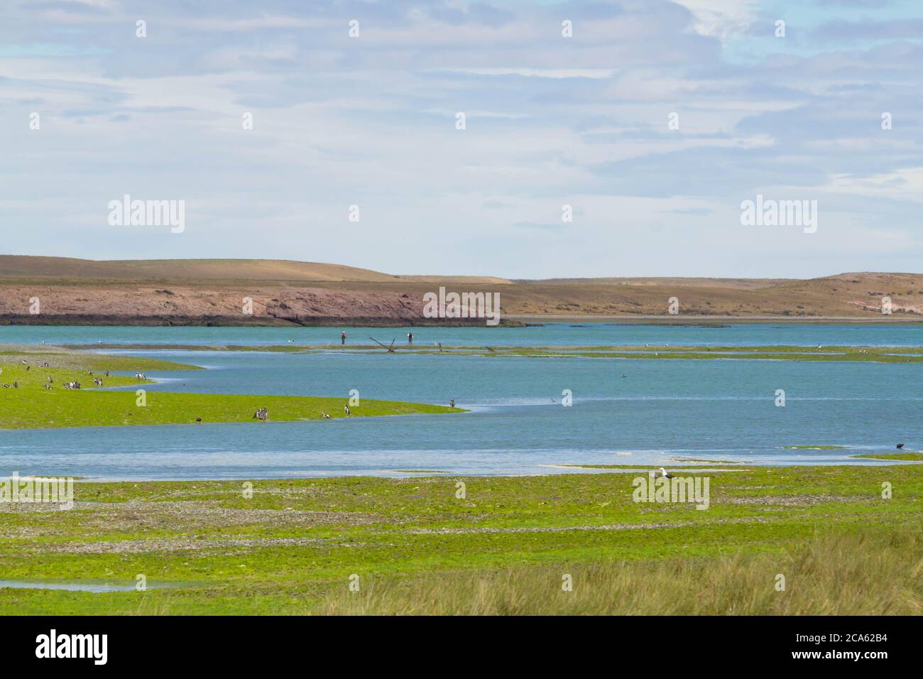 View of the Deseado river from the south coast Stock Photo - Alamy