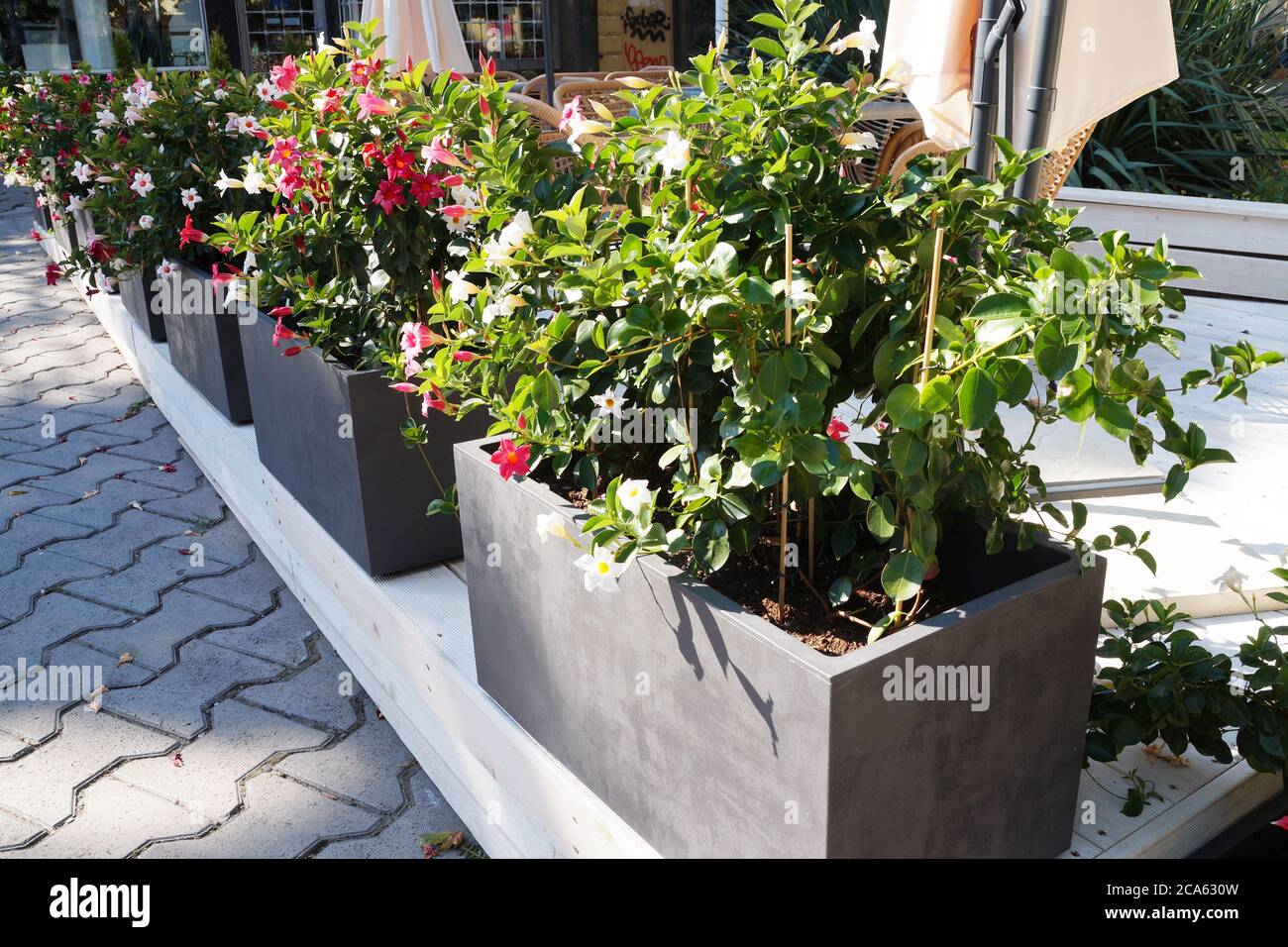Concrete planter architecture hi-res stock photography and images - Alamy