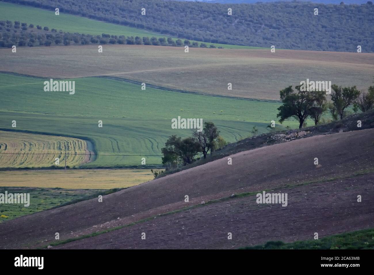 Andalusian landscape hi-res stock photography and images - Alamy