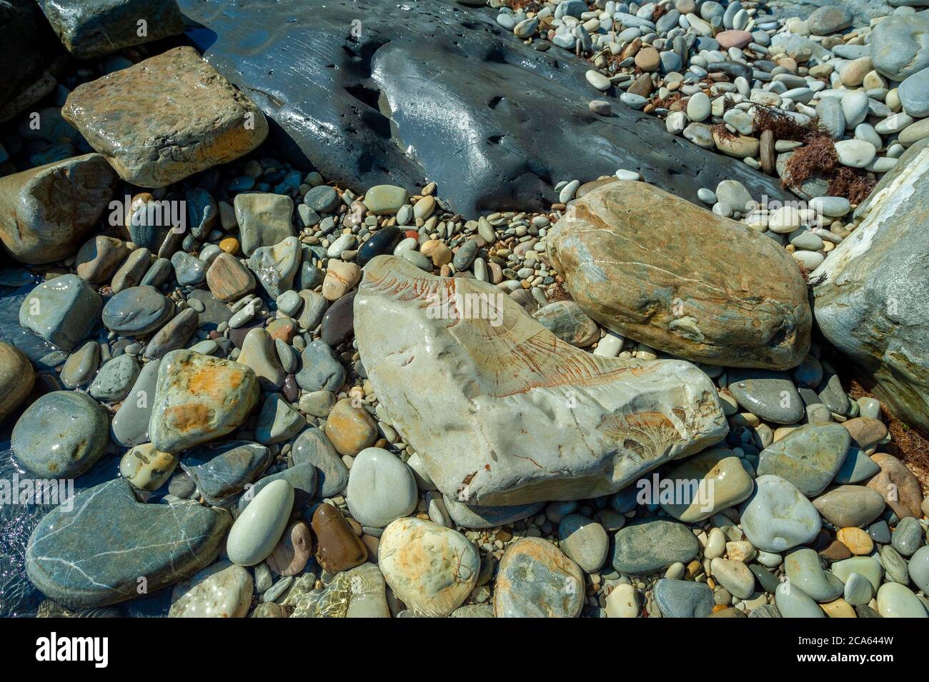 A pile of food on a rock Stock Photo - Alamy