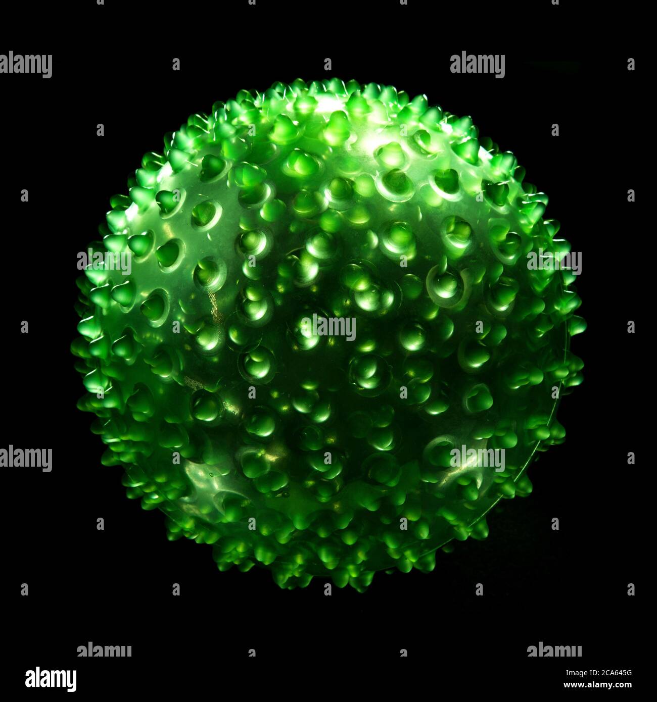 Chlorella cells hi-res stock photography and images - Alamy