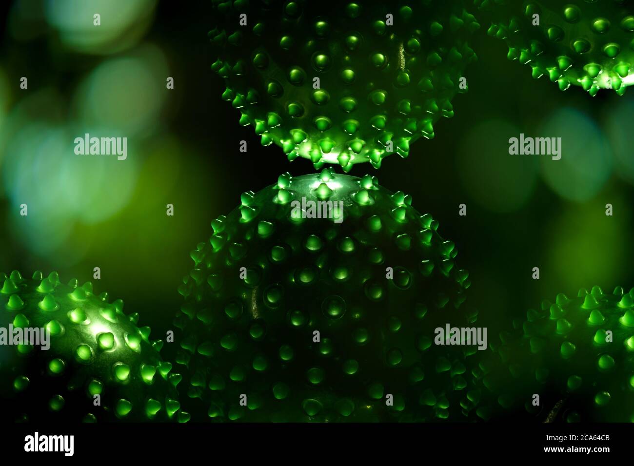 Green single cell chlorella algae microscopic conceptual 3D ...