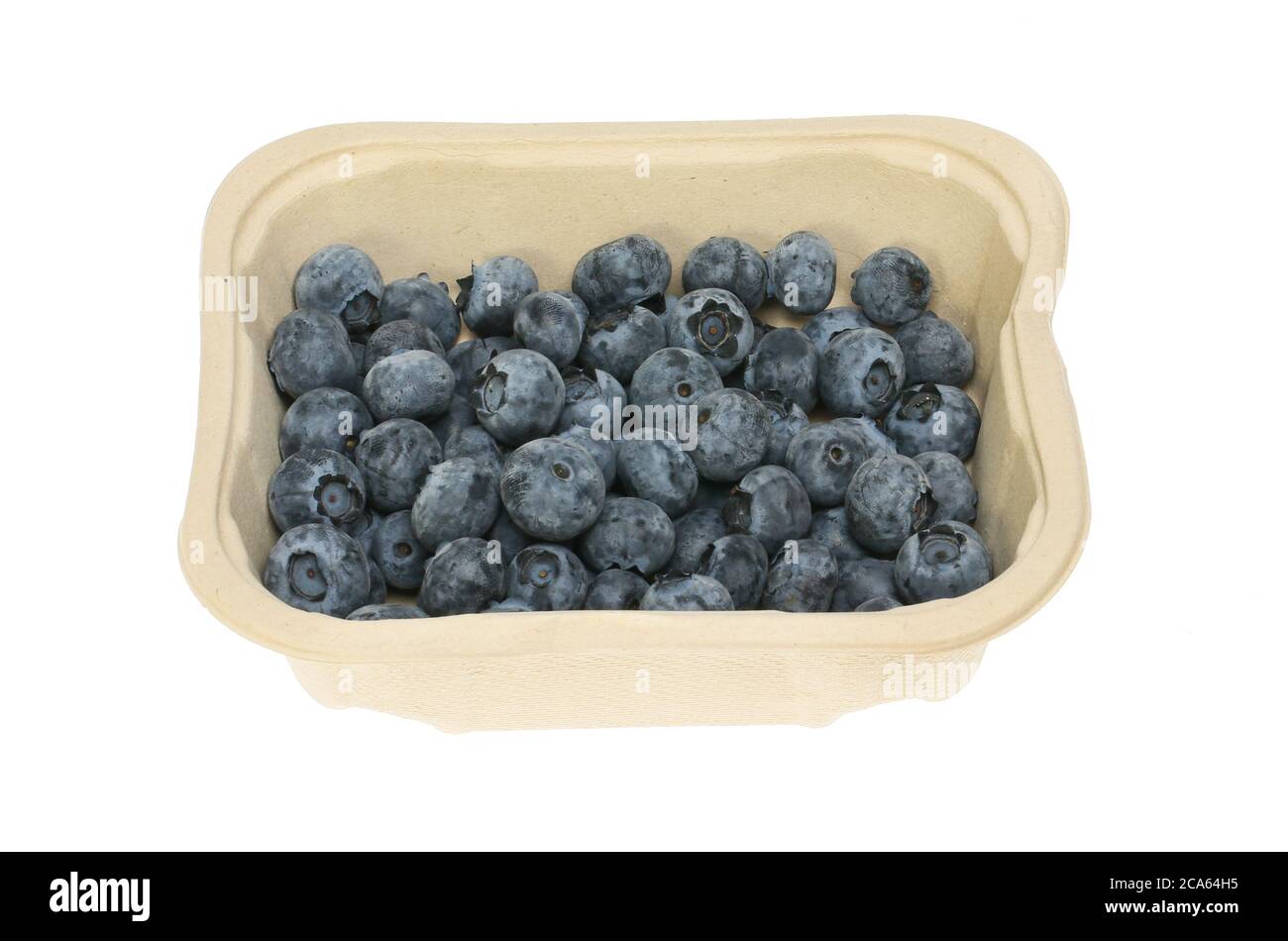 Blueberries in a punnet isolated against white Stock Photo - Alamy