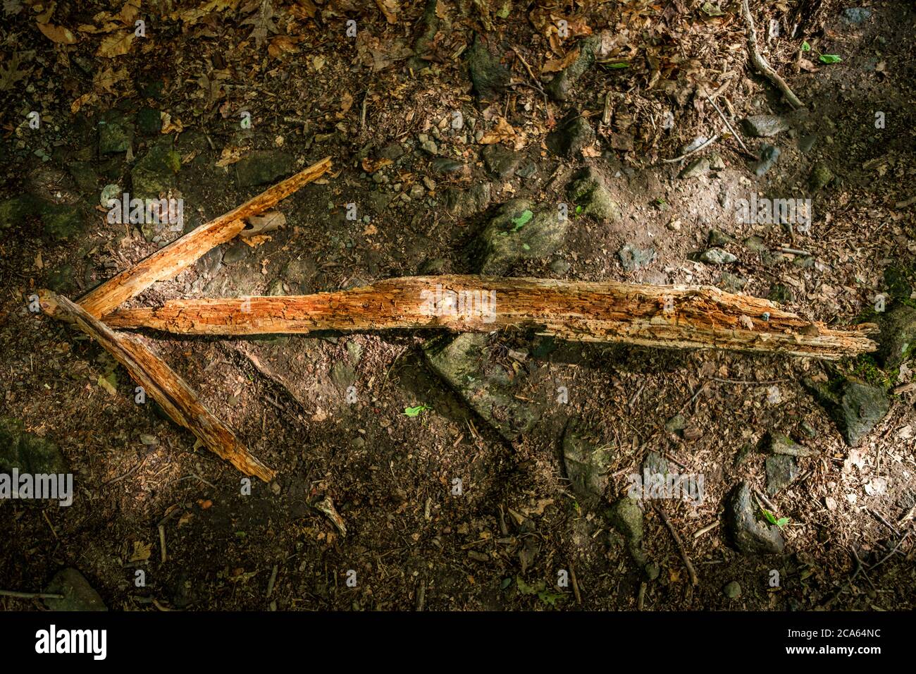 Sticks form the shape of the arrow symbol pointing down the trail in ...