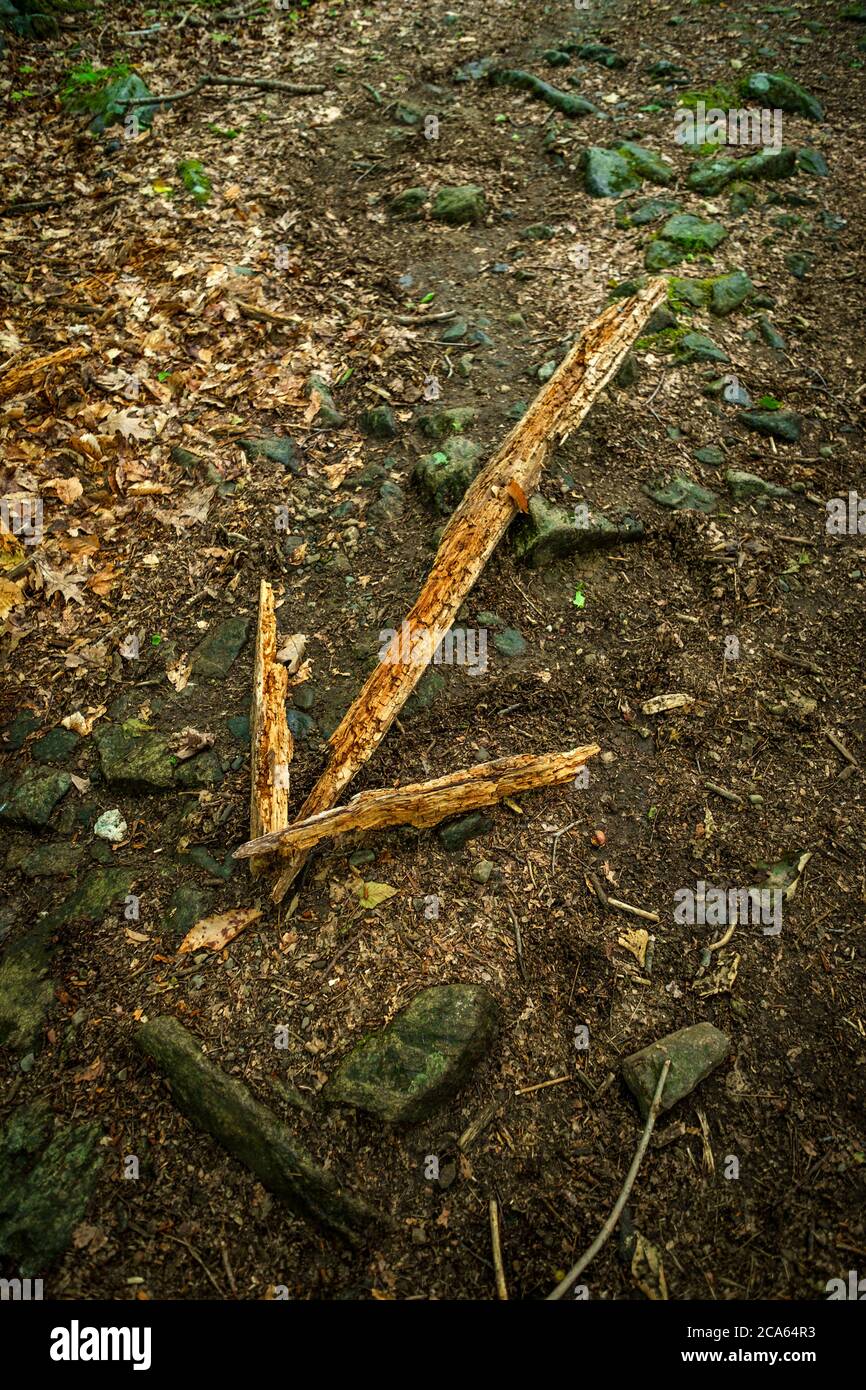 Sticks form the shape of the arrow symbol pointing down the trail in ...